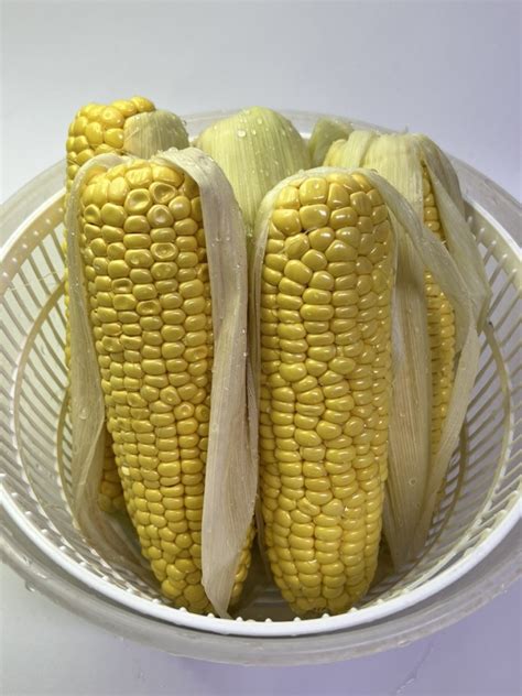 초당옥수수 삶는법 찌는법 초당옥수수 보관법 여름간식