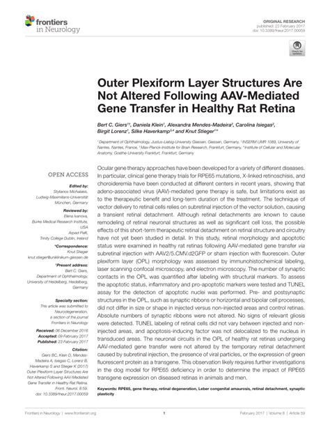 Pdf Outer Plexiform Layer Structures Are Not Altered Following Aav