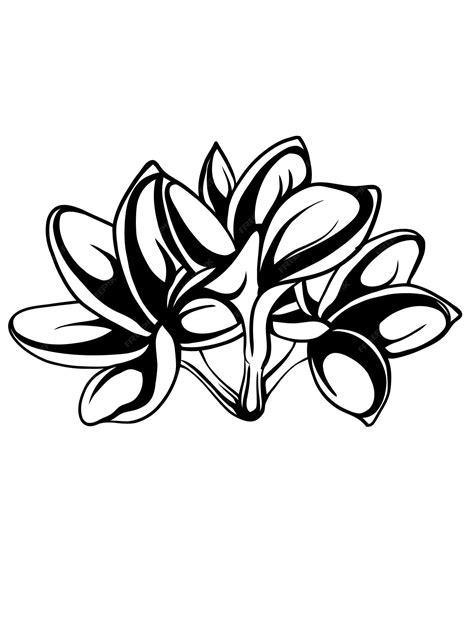 Premium Vector Vector Flower And Twig Design