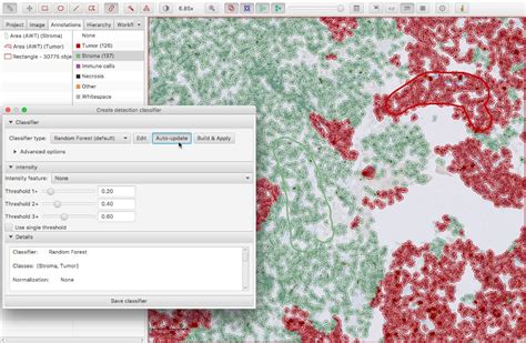 Classifying Objects Qupath Qupath Wiki GitHub