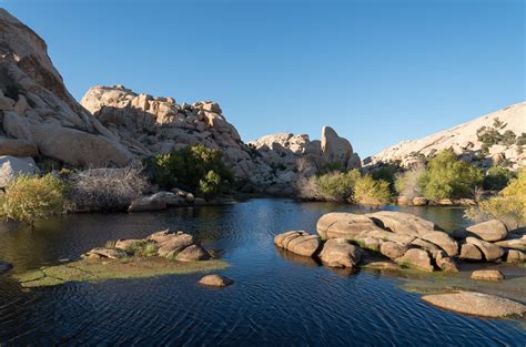 The Barker Dam Nature Trail In Joshua Tree National Park Parks And Trips