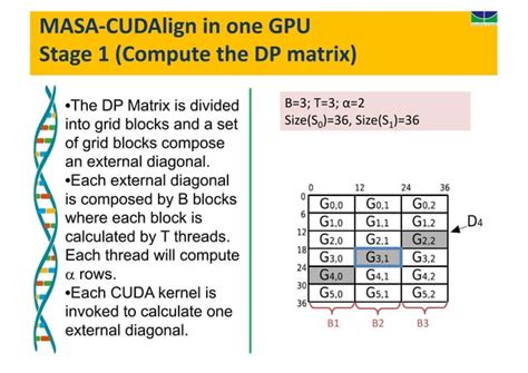 Parallel Biological Sequence Comparison In Gpu Platforms Ppt