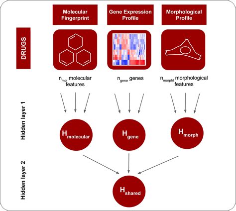 Multigml Multimodal Graph Machine Learning For Prediction Of Adverse Drug Events Heliyon