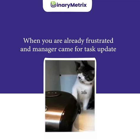 Binarymetrix Technologies Pvt Ltd On Linkedin Manager Businessmanager Reelkarofeelkaro