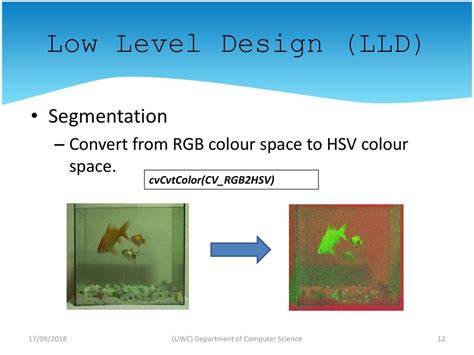 Fish Identification System Ppt Download