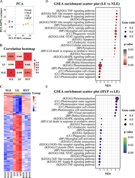 Hyperoside Treatment Counteracts Light Induced Alterations In The Download Scientific Diagram