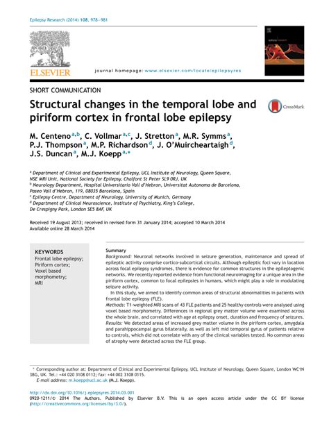 PDF Structural Changes In The Temporal Lobe And Piriform Cortex In Frontal Lobe Epilepsy