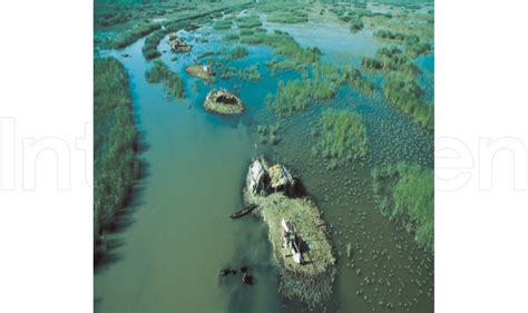 Figure 2 From Algae Toxins And Their Treatment Semantic Scholar