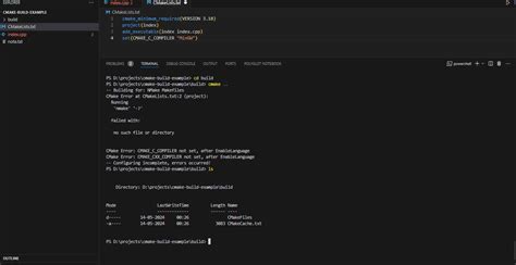 Cmake C Compiler Not Set After Enable Language Rcmake