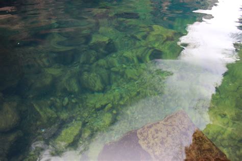에콰도르3 갈라파고스 산타크루즈섬 두피디아 여행기