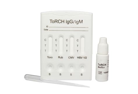 Torch Test Meaning At Brendan Gates Blog