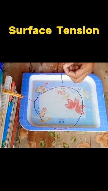 Surface Tension 🤔surfacetension Science Expriment Experiments Youtube