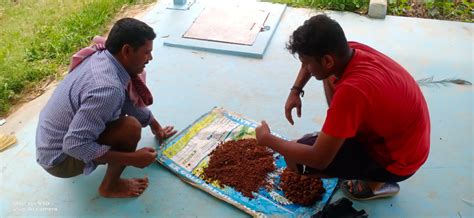 Soilsampling DEPARTMENT OF AGRICULTURAL EXTENSION COLLEGE OF AGRICULTURE GKVK BENGALURU