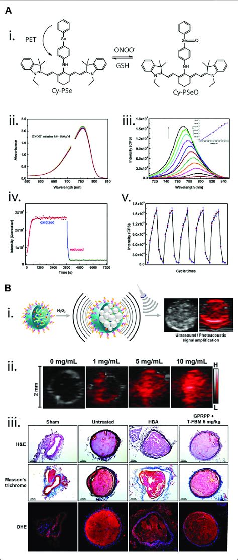 A Near Infrared Cyanine Derived Fluorophore For Dynamic Monitoring