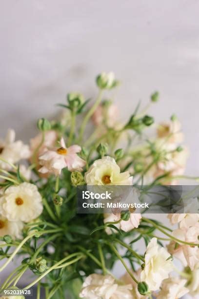 아름 다운 Buttercups 부시 테이블에 꽃병에 꽃 밝은 분홍색 꽃의 꽃다발입니다 집의 장식입니다 바탕 화면 및 배경 세로