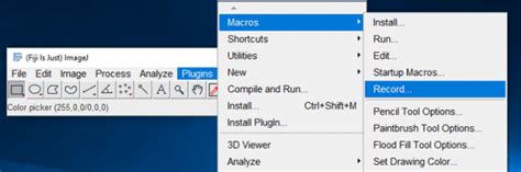 building an imagej macro for batch processing of images from imaging