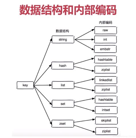redis理解与使用（一） keys、flushall、flushdb csdn博客