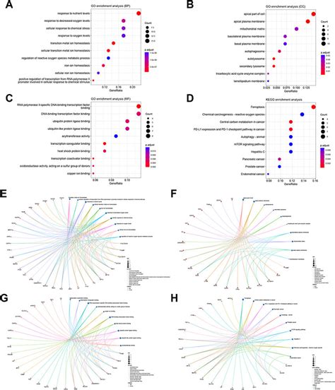 Ppi Network And Identification Of Hub Genes A Ppi Network Of All Download Scientific Diagram