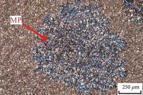 Lithofacies Characteristics Of Dissolution Pore Type Dolostone
