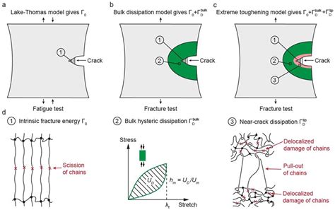 Schematic Illustration Of Molecular Mechanisms Of Three Fracture Download Scientific Diagram