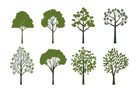 Premium Vector Set Of Tree Vector In Simple Flat Style Isolated On White Background