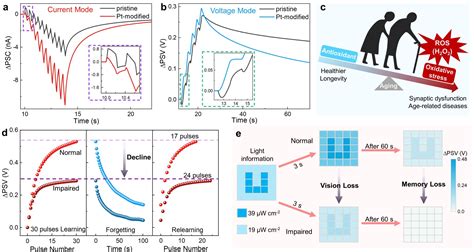 中国科大在仿生光电神经感知器件领域取得新突破 中国科大新闻网