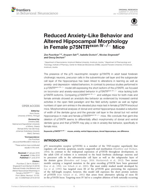Pdf Reduced Anxiety Like Behavior And Altered Hippocampal Morphology In Female P75ntrexon Iv−