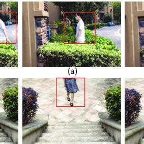 PDF Occlusion Aware Human Mesh Model Based Gait Recognition