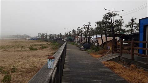 바닷가 차박 빗속 물치해변 Youtube