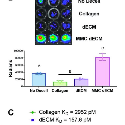 Bmp 2 Adsorption Is Increased On Ecms Formed With Macromolecular Download Scientific Diagram