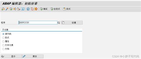 sap 图标内外码 sap icon 代码 csdn博客