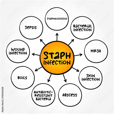 Staph Infection Are Caused By Staphylococcus Bacteria Mind Map Medical Text Concept