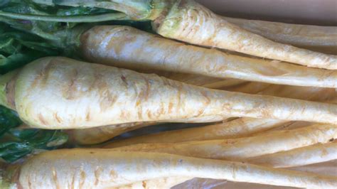 Benefits Of Parsnips Benefits Of
