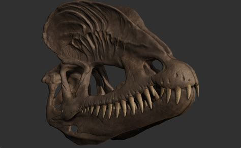 Dilophosaurus Skeleton