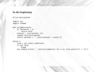 The Bones Of A Nice Python Script PPT