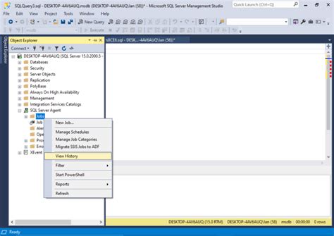 View SQL Server Agent Job History With SSMS