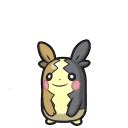 Morpeko Vgc 2026 Champions Best Moves Builds And Teams Pikalytics