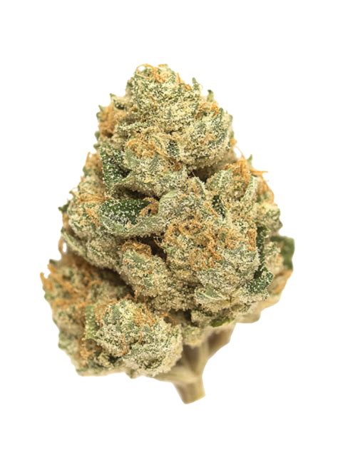 Hindu Kush Cannabis Strain Information Growdiaries