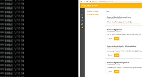 Installing A Plugin Spams Console While Homebridge Is Down · Issue 35