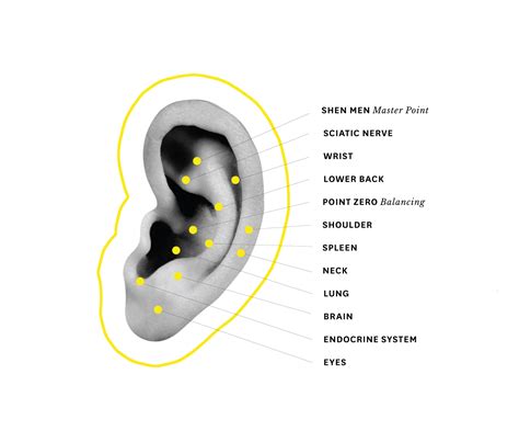How To Ear Seed Boketto Wellness