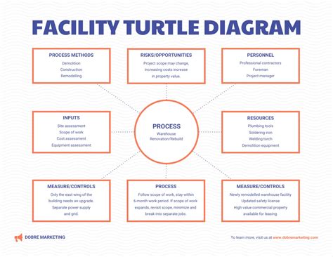 Schildkröten Diagramm der Lichtanlage Venngage