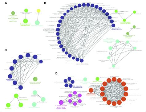 Function Analysis For The Blue Module Using Cluego A Kegg Pathway
