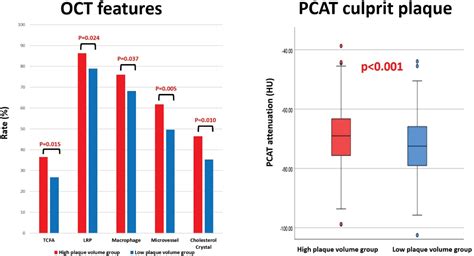 Plaque Burden Plaque Vulnerability And Vascular Inflammation Jacc