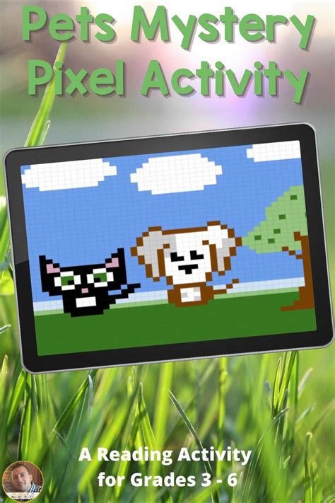 READING Mystery Pixels Pros And Cons Of Pets Activity For Google Sheets Reading Mysteries