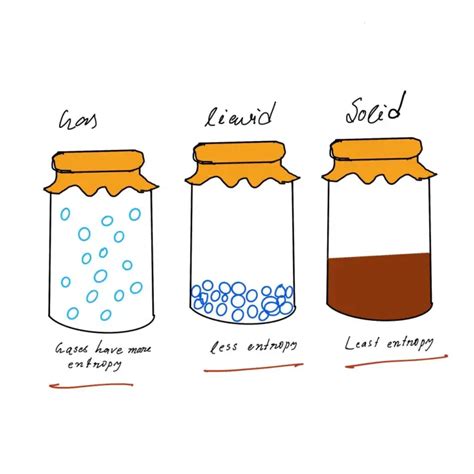 What Is Entropy Biology Notes Online