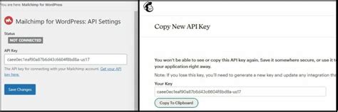 Things That One Need To Know About Wordpress Rest Api