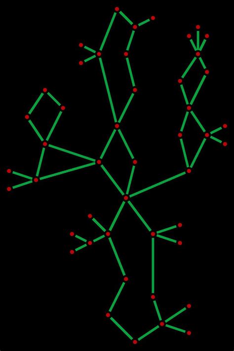 Cactus Graph Alchetron The Free Social Encyclopedia