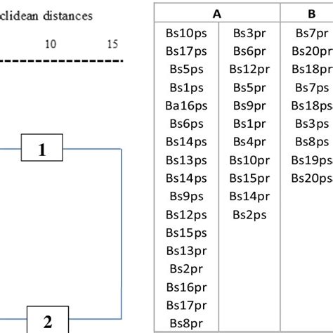 dendrogram showing the clustering of spring water samples spatially