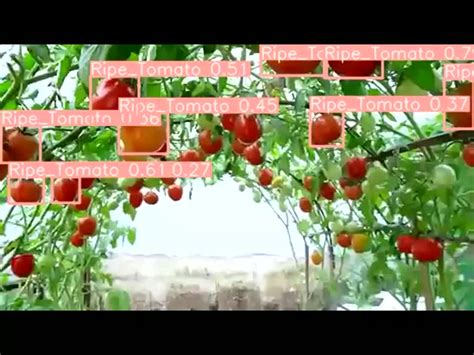 Saibalaji Naidu On Linkedin Objectdetection Yolo Deeplearning