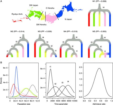 A Graphic Representation Of Population Demographic Models 1 5 M1 M5 Download Scientific